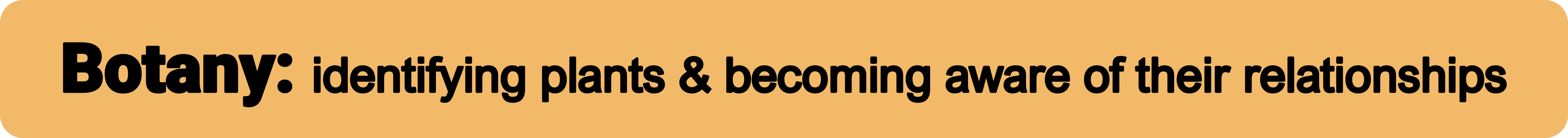 Botany 101, Part 1: Family Planting – Urban Habitat